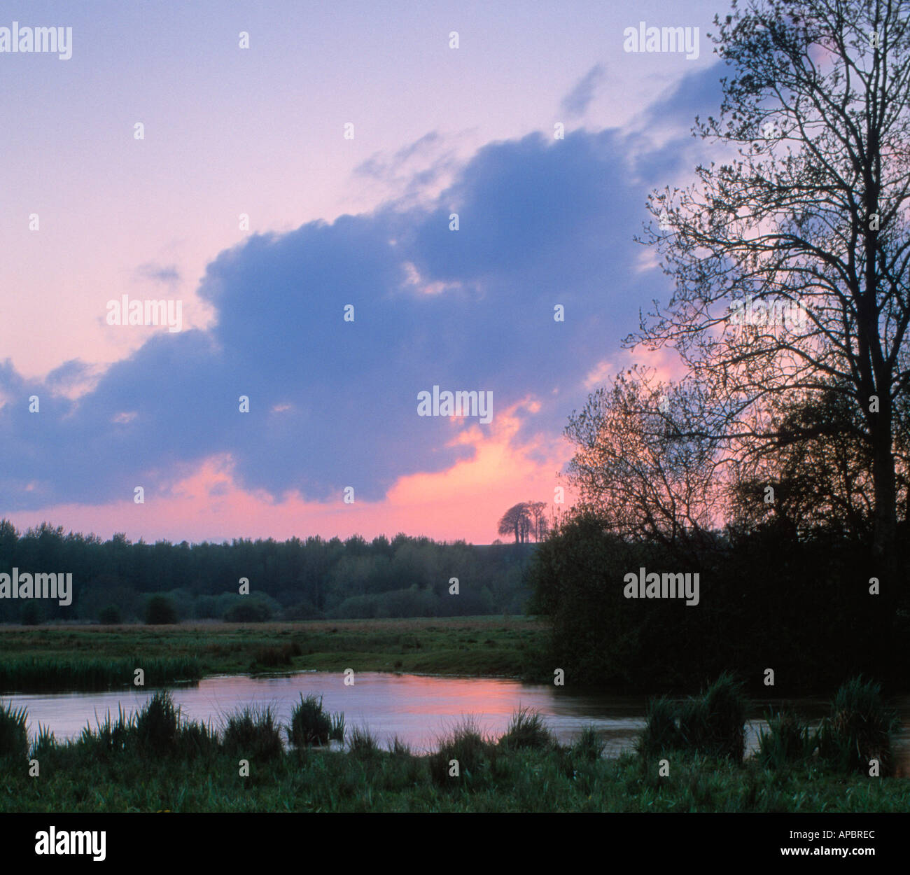 Twilight after sunset on chilbolton common Hampshire UK Stock Photo - Alamy