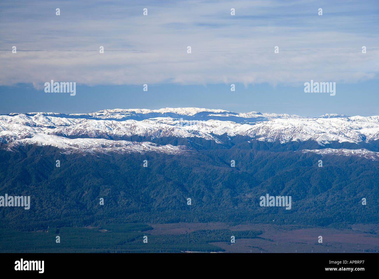 Kaimanawa forest park hi-res stock photography and images - Alamy