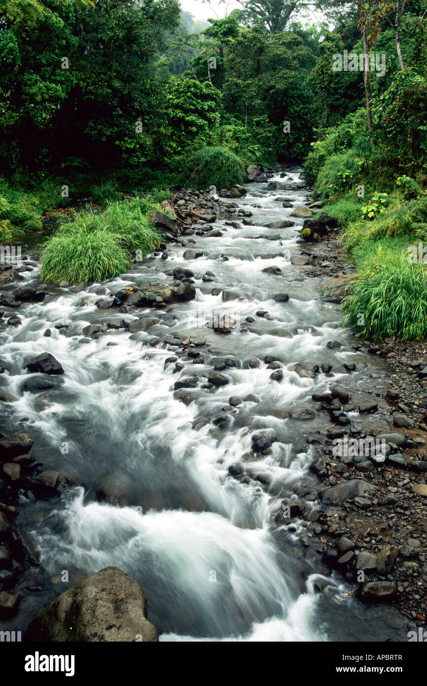 Jungle river, Costa Rican rainforest near Arenal, Costa Rica Stock ...