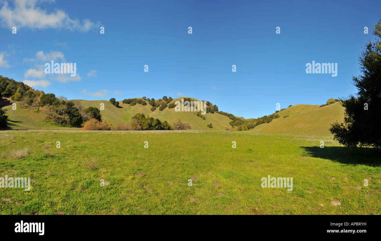 Briones regional park hi-res stock photography and images - Alamy