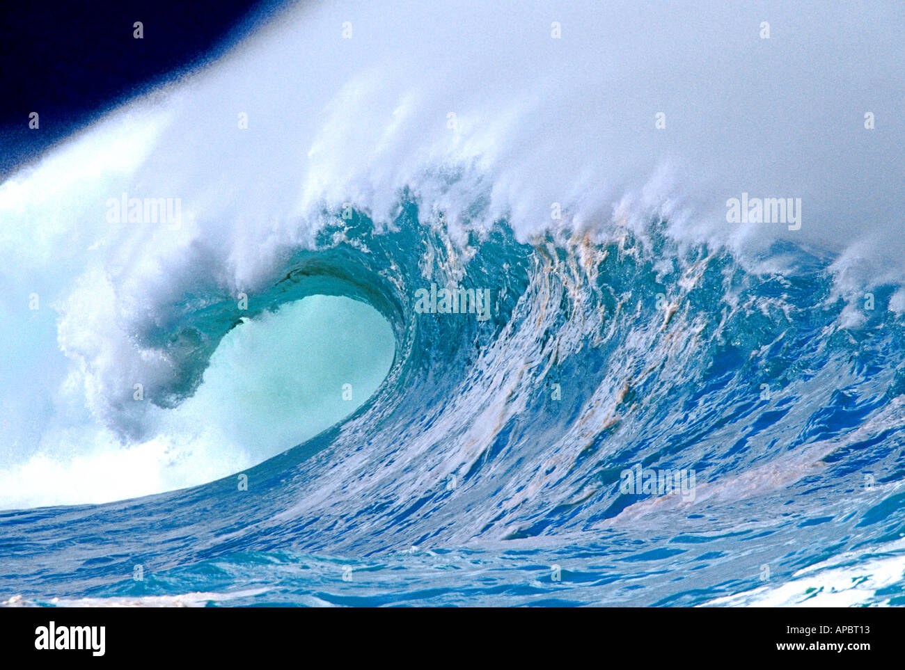 Surf on cresting tube wave, Waimea Beach, Hawaii, USA Stock Photo - Alamy