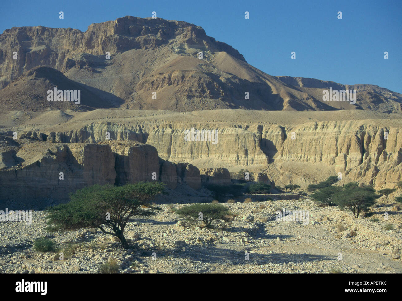 Israel Desert of Judea Wadi Zehelim panoramic view with typical desert ...
