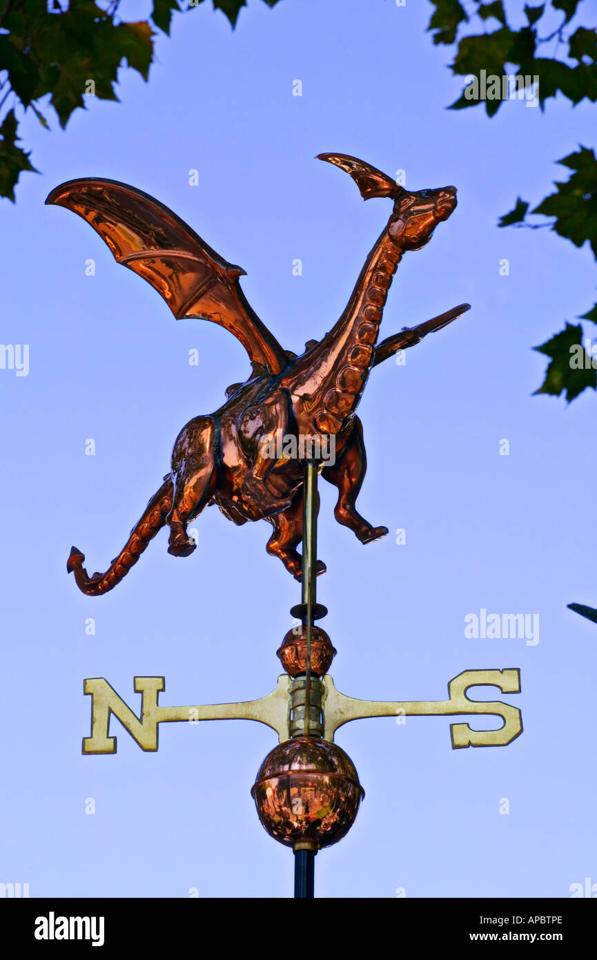 Dragon dragons weather vane weathervane north south east west hi-res ...