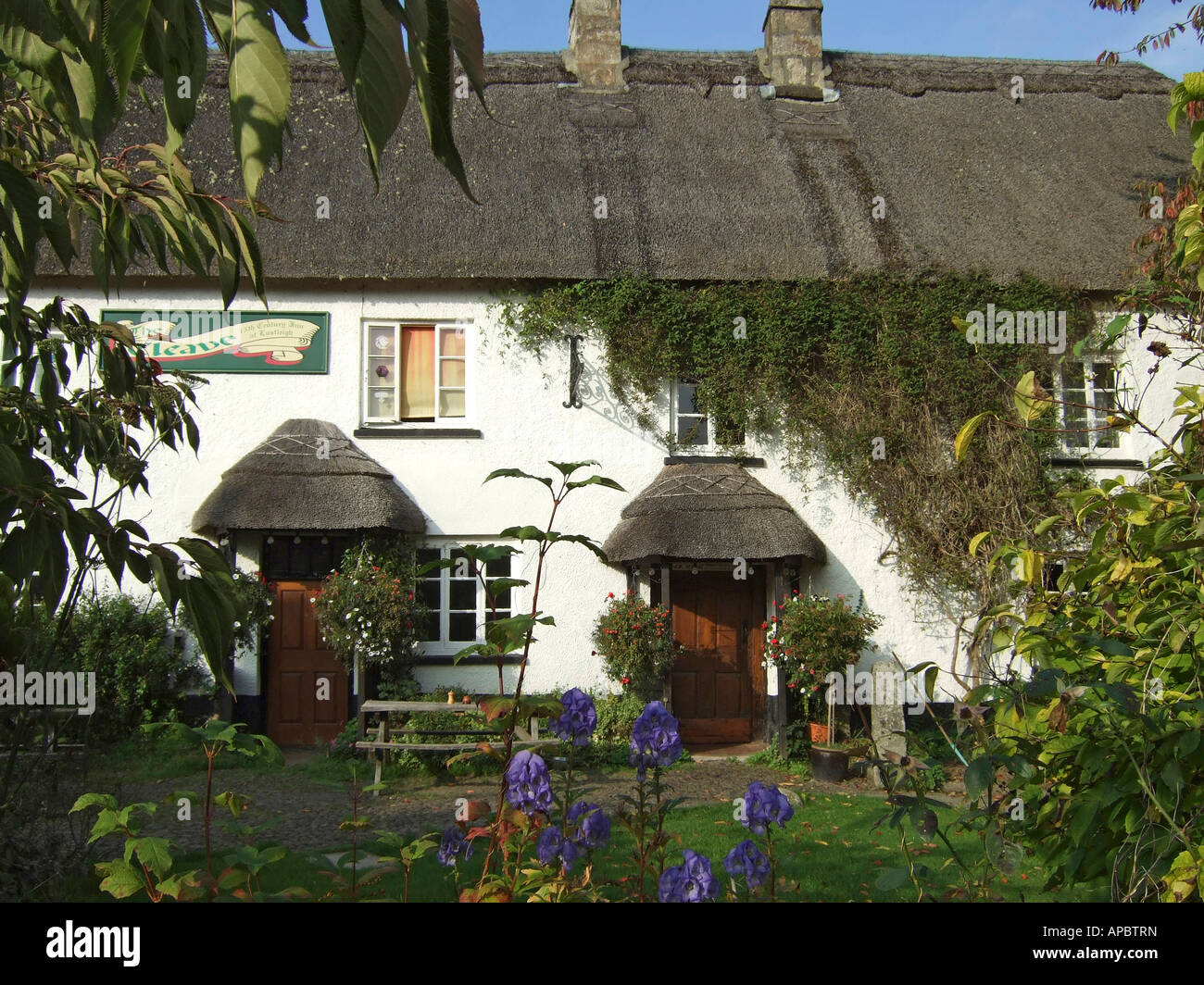 Cleave hi-res stock photography and images - Alamy