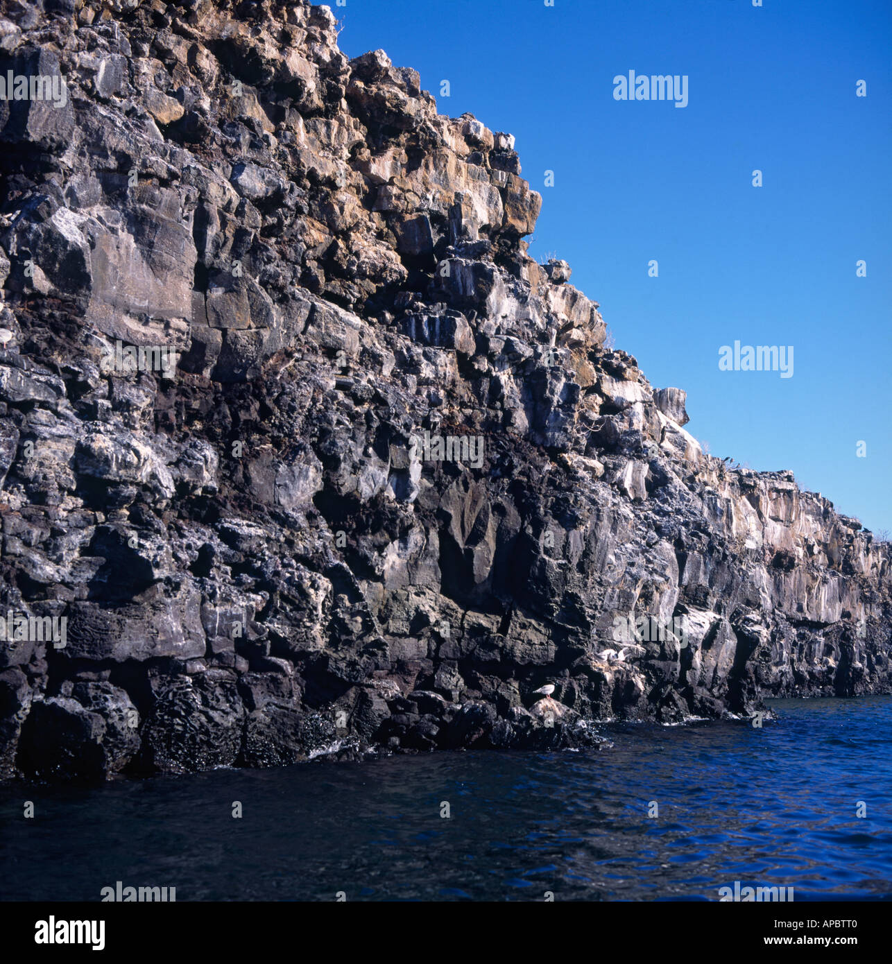 Rugged volcanic steep jagged sea cliffs sheer to the water Isla ...
