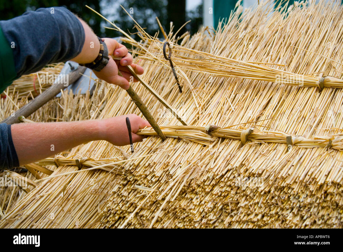 Thatcher at work hi-res stock photography and images - Alamy