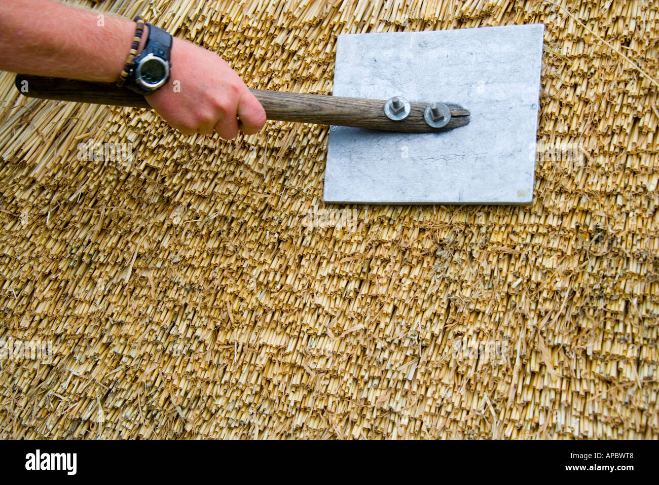 Close up of thatcher at work on roof tamping to ensure precise position ...