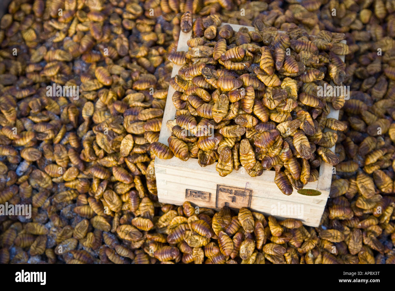 Korean Street Food Boiled Silkwork Larvae or Beondegi Namdaemun Market ...
