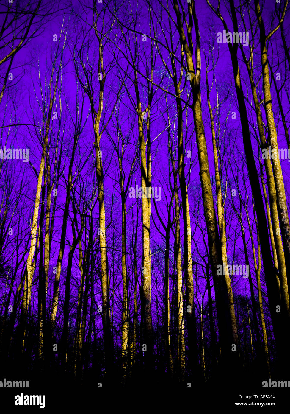 Deep purple sky hi-res stock photography and images - Alamy