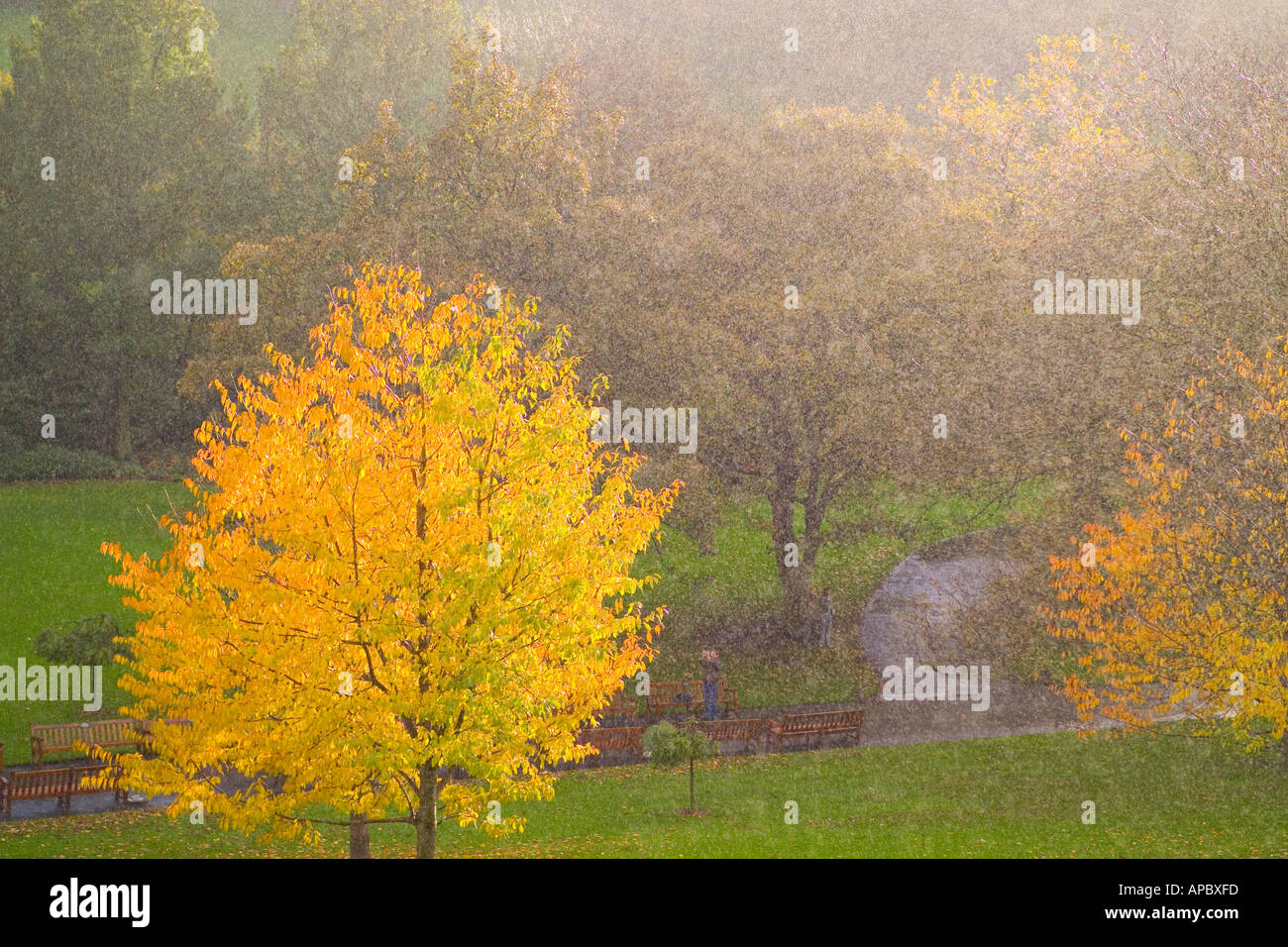 Princes street in the rain hi-res stock photography and images - Alamy