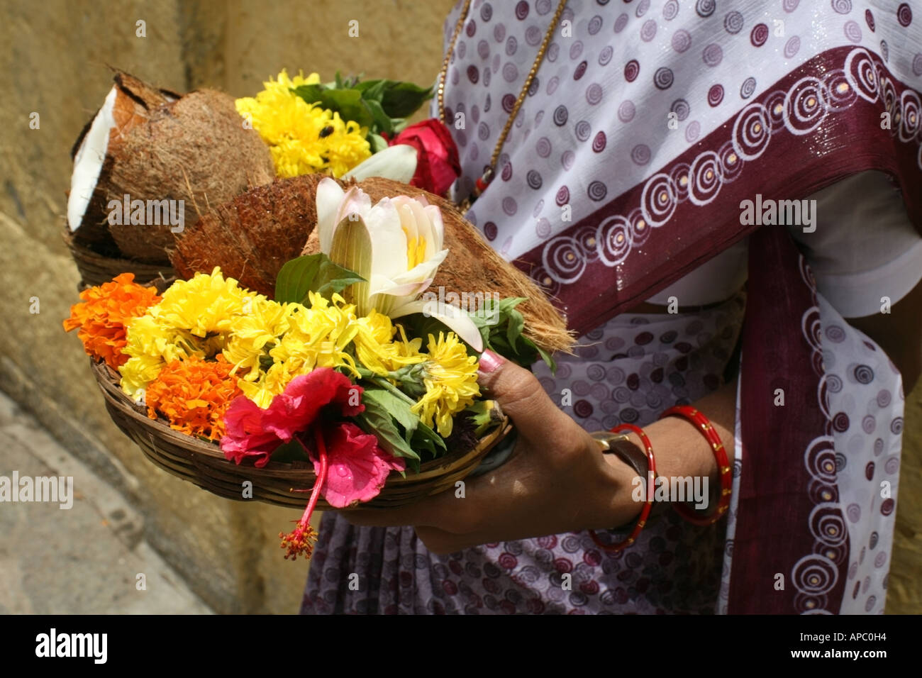 Hindu Woman Carrying Coconut and Flower Puja, Mysore, India Stock Photo ...