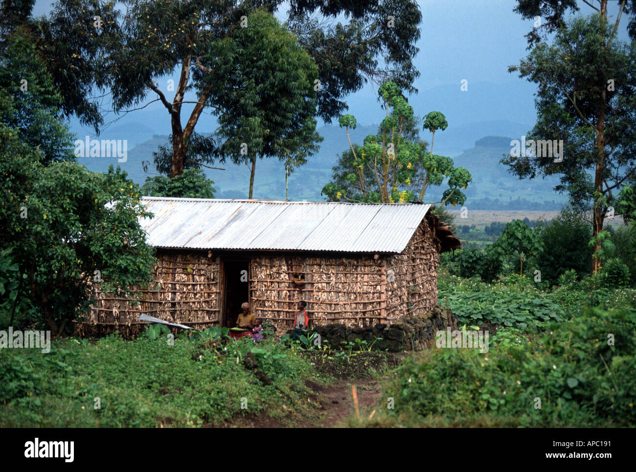 Typical hut near Mt Nyiragongo near Goma East D R Congo Zaire Central ...