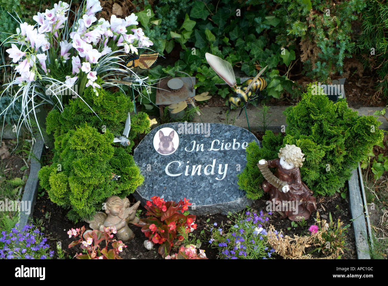 On the animal cemetery the domestic animals can be buried. The graves ...