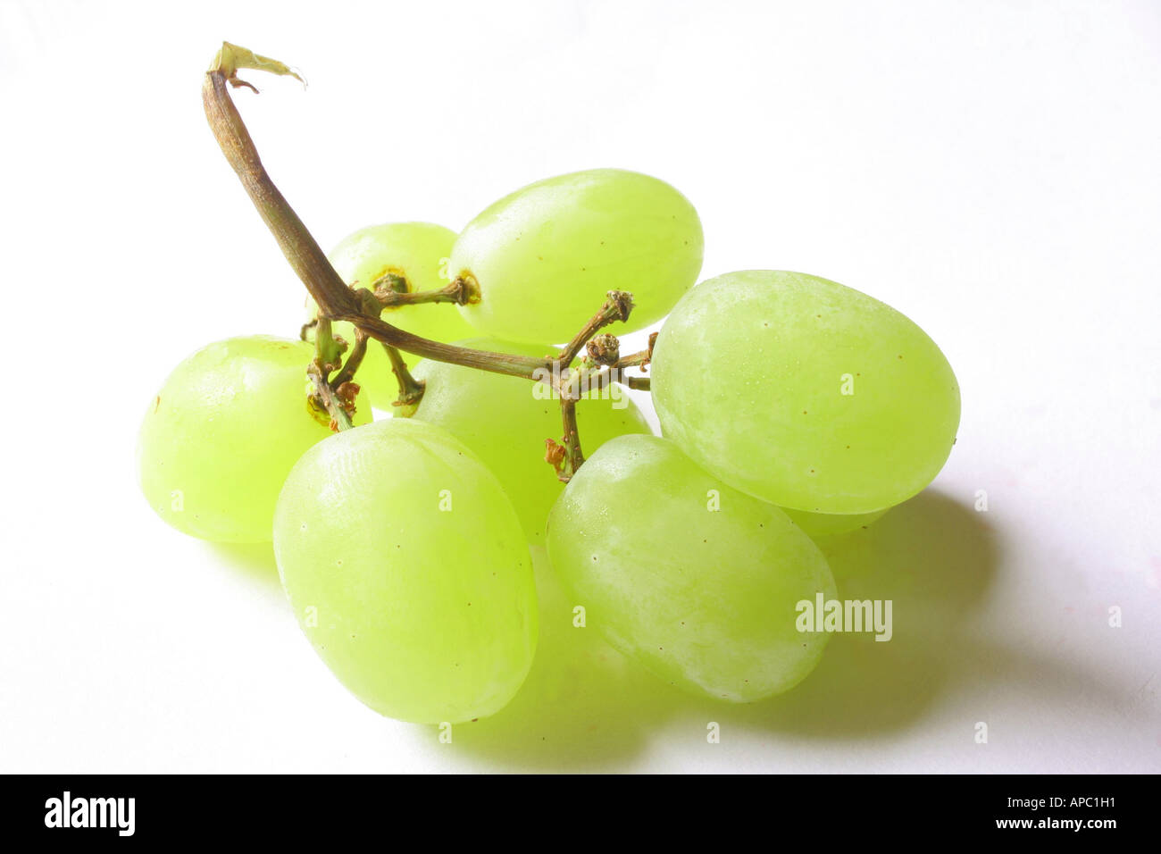 Small Bunch of Grapes Stock Photo - Alamy