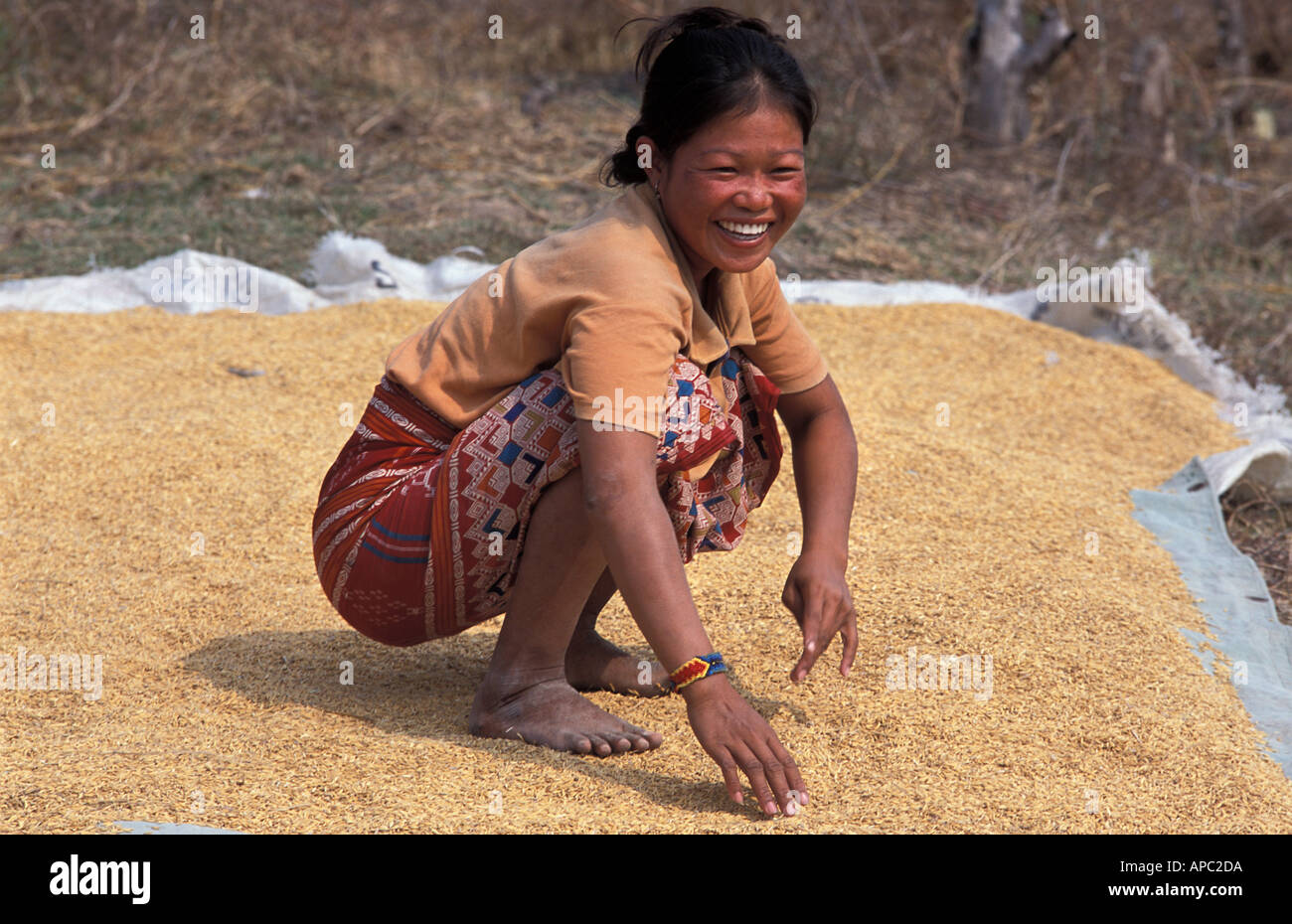 Friendly villager drying grain in the sun in the dry arid centre of Don ...