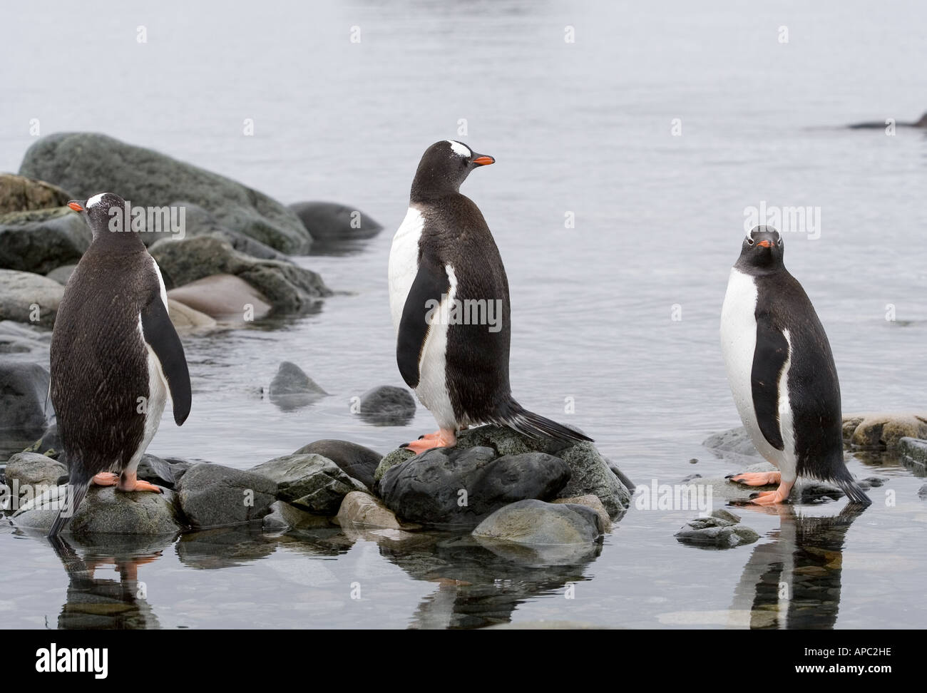 3 different directions hi-res stock photography and images - Alamy