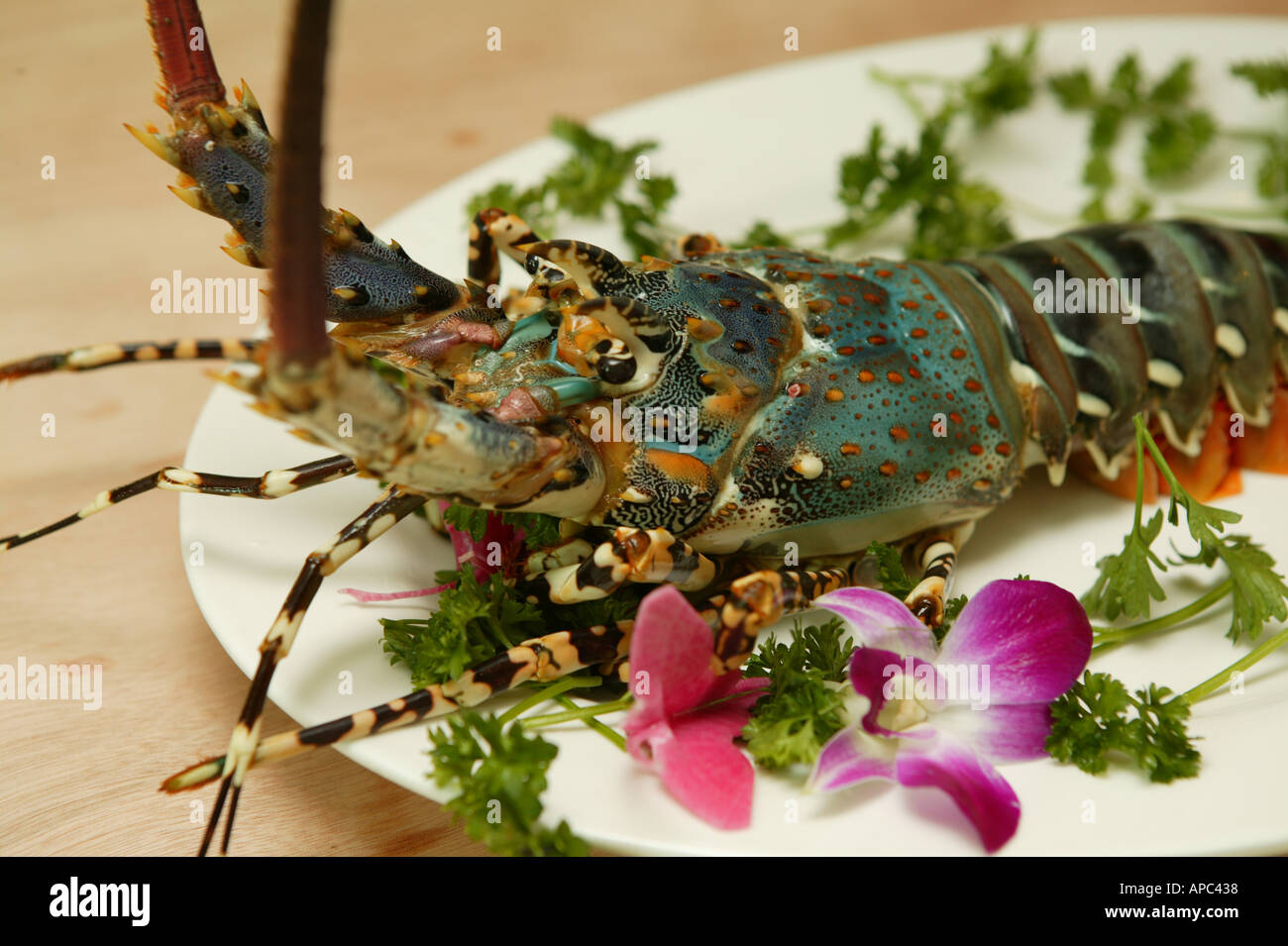 chinese cuisine prawn Stock Photo - Alamy