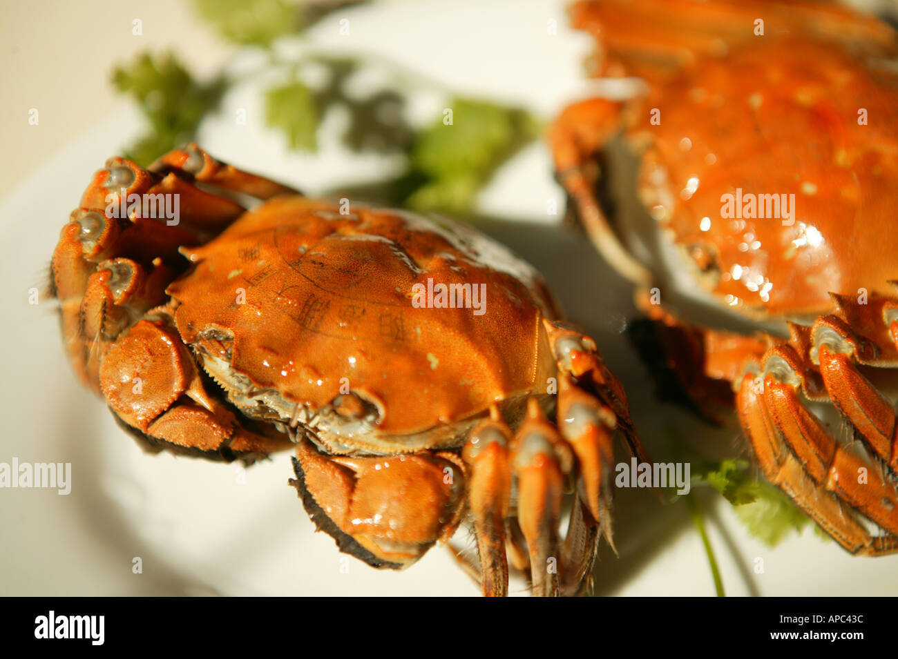 Chinese cuisine crab Stock Photo - Alamy