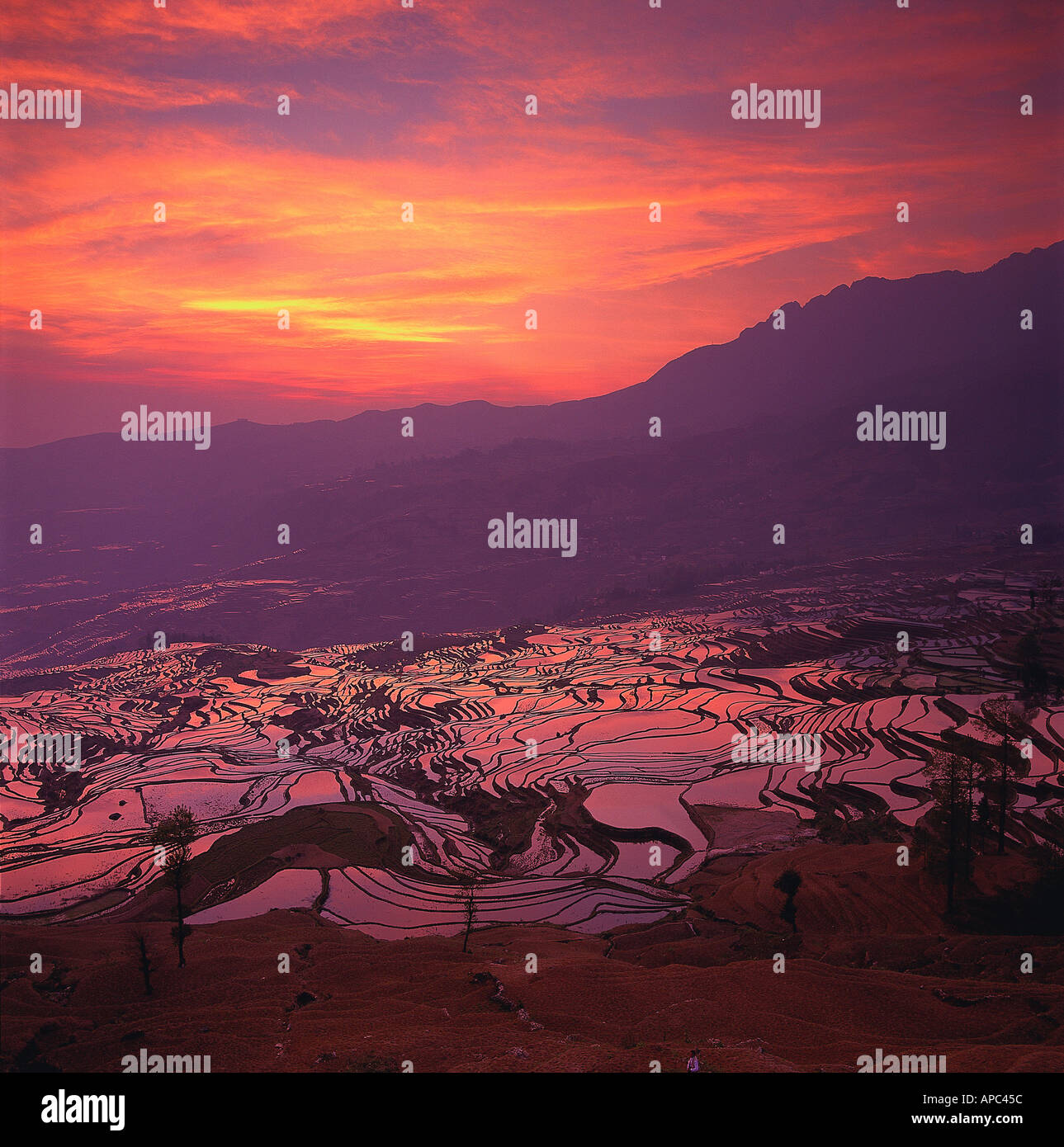 Asian chinese terrace hi-res stock photography and images - Alamy