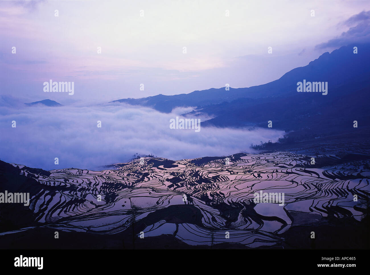 Terrace in Yunyang China Stock Photo - Alamy