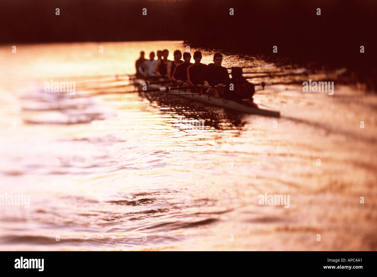 4 man rowing team hi-res stock photography and images - Alamy