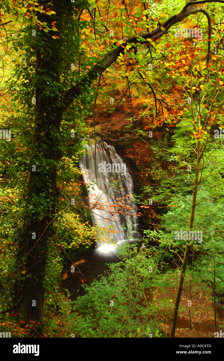 Falling Foss, Littlebeck, North Yorkshire Moors Stock Photo - Alamy