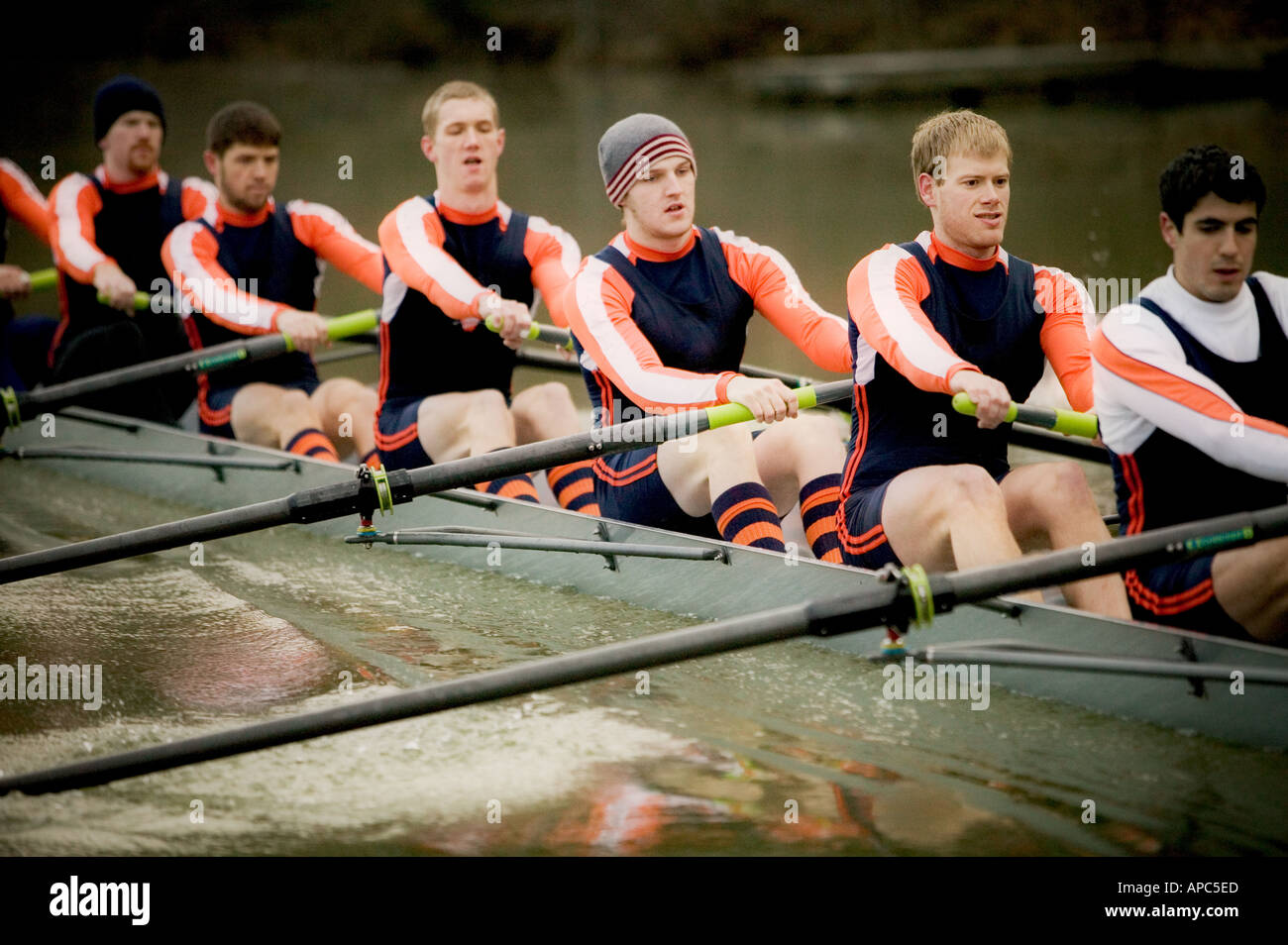 Rowing Team 6 Stock Photo - Alamy