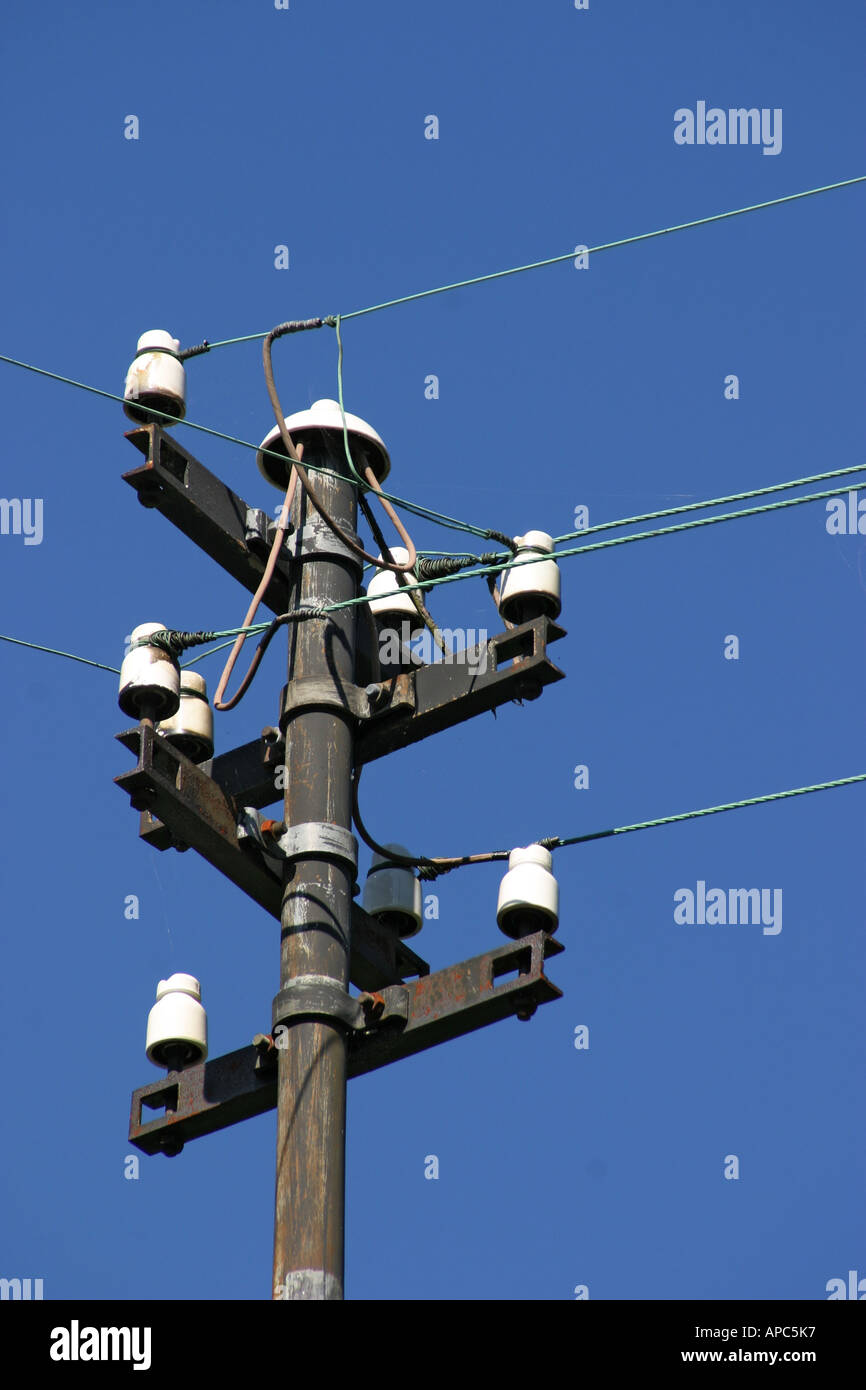 On an electric pole hi-res stock photography and images - Alamy