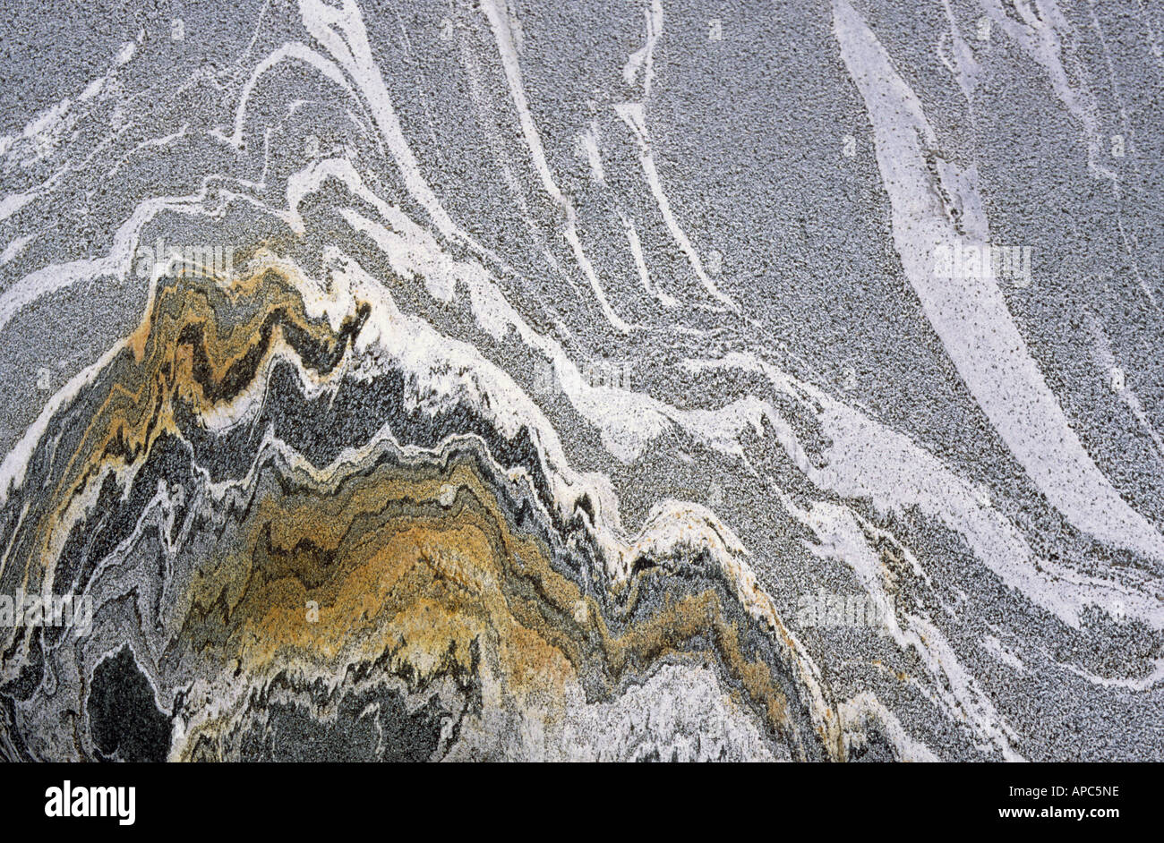 Folded, metamorphic rock from gneiss in the riverbed of the Verzasca ...