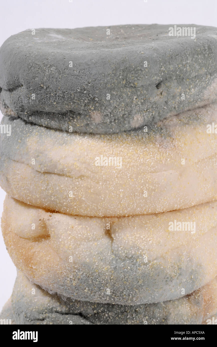 Mouldy toast hi-res stock photography and images - Alamy