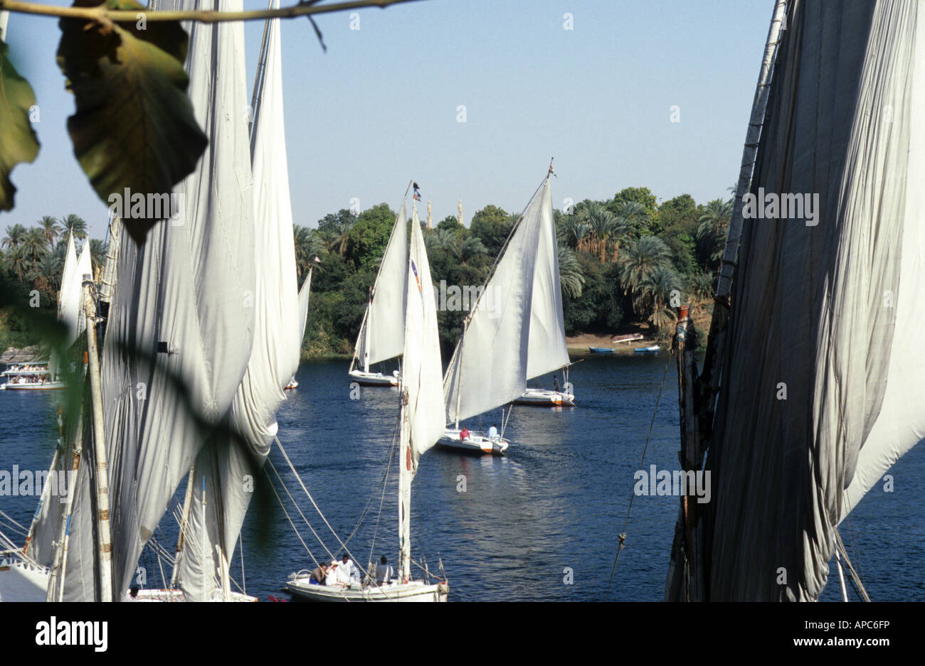 Beautiful traditional egyptiam sail boats on the Nile river near Aswan ...