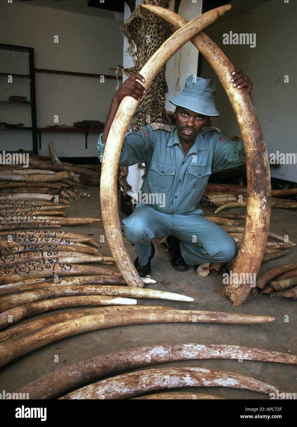 Chief Warden High Resolution Stock Photography and Images - Alamy