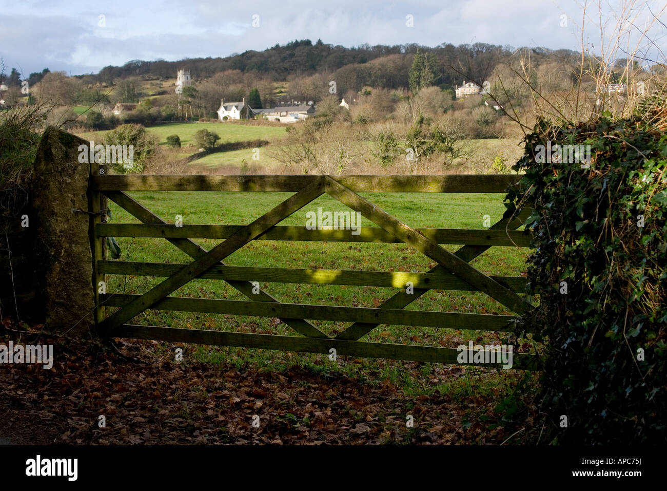 Gate to farmers field with church in distance Dartmoor, Devon, England ...