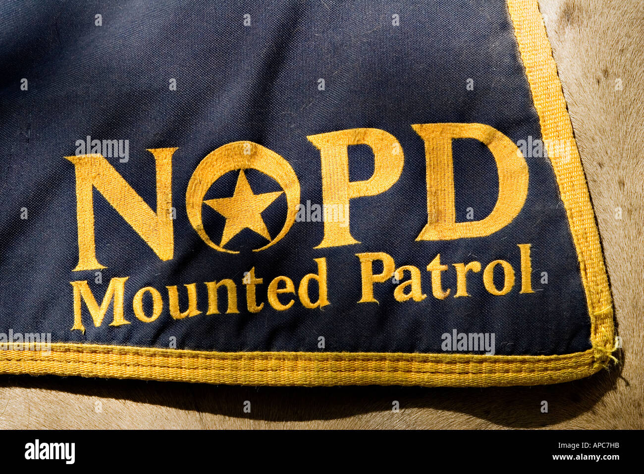 NOPD Mounted Patrol horse blanket Stock Photo - Alamy