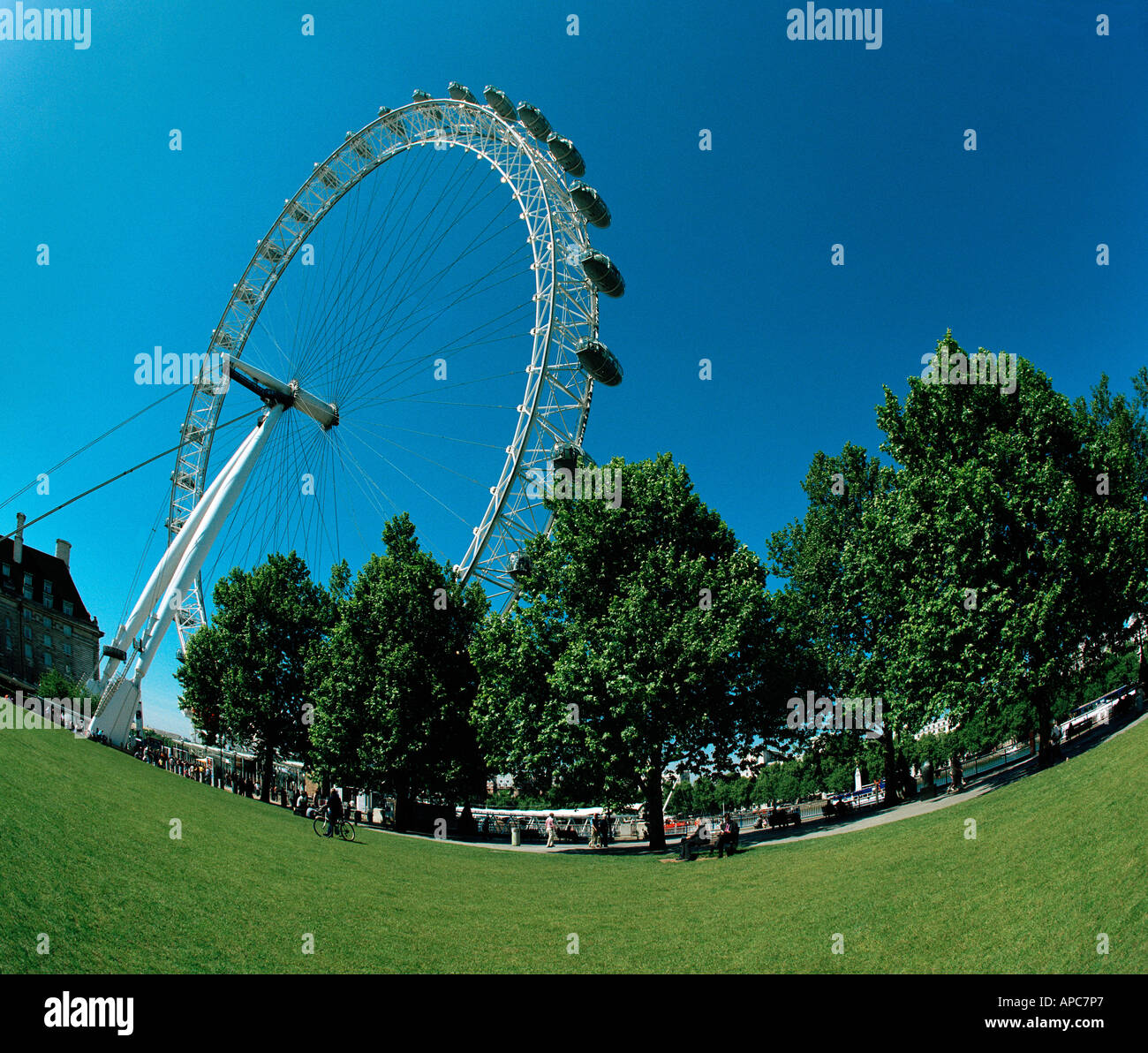 millenium wheel london Stock Photo - Alamy