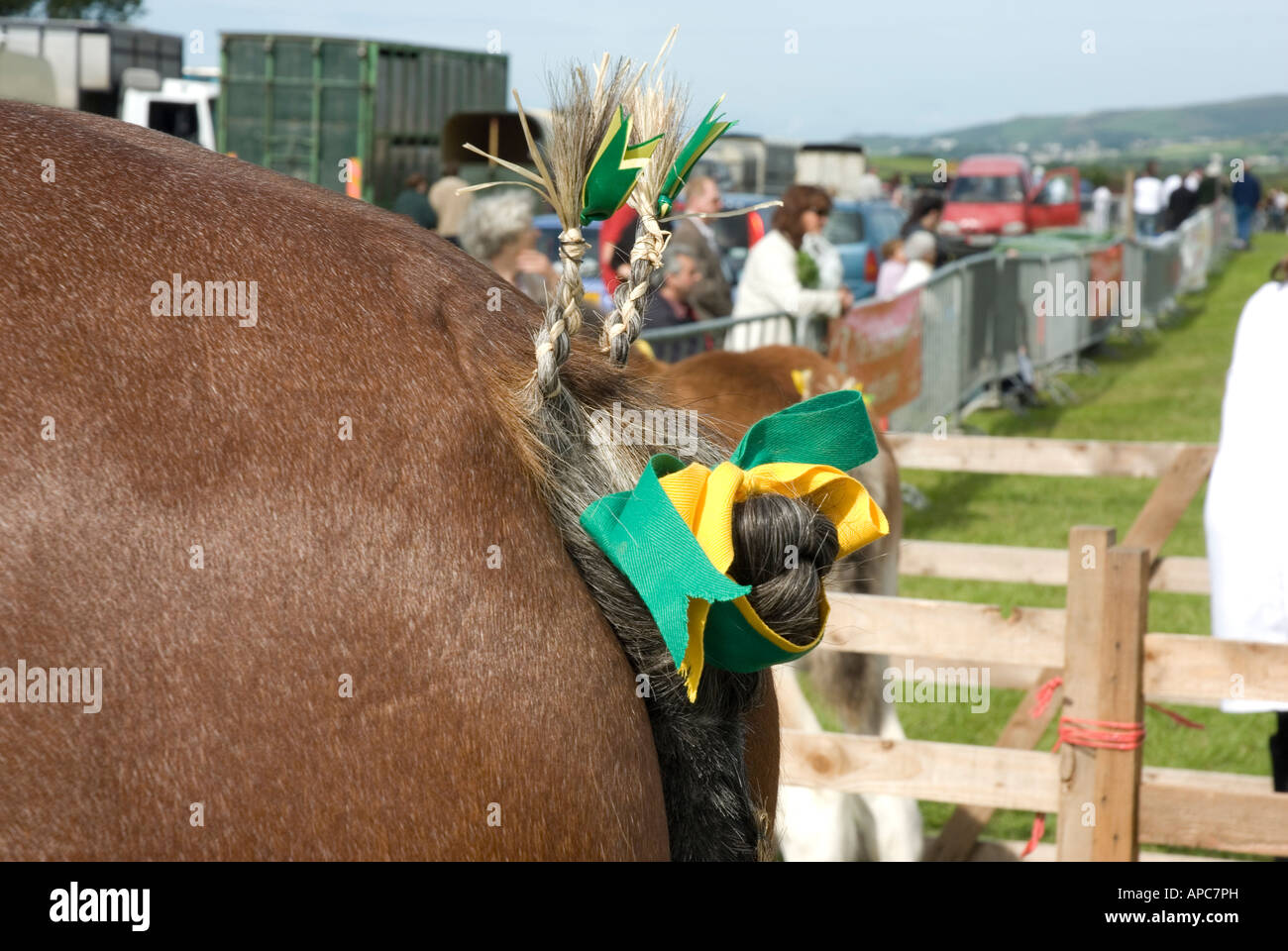 Manx iom uk britain rural hi-res stock photography and images - Alamy