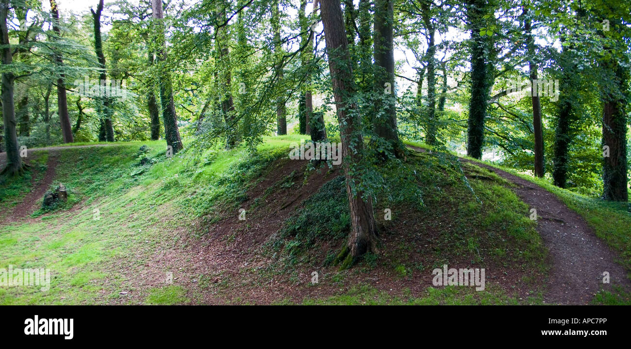 King Brian Boru High Resolution Stock Photography and Images - Alamy