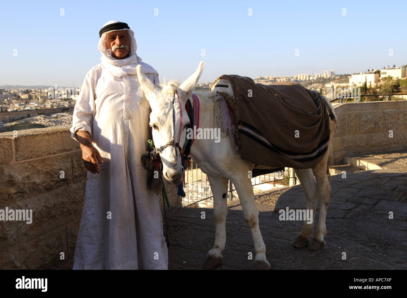 White donkey hi-res stock photography and images - Alamy