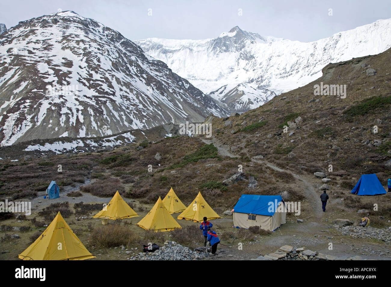 Tilicho basecamp. On the way to Tilicho Lake. Annapurna circuit trek ...