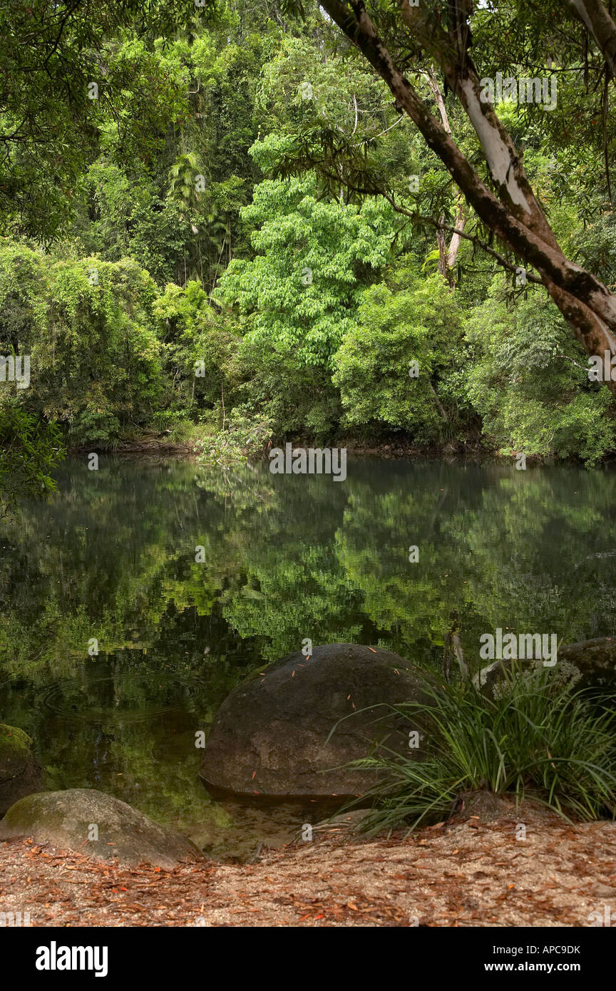 Golden Hole Russell River Bartle Frere North Queensland Australia Stock ...