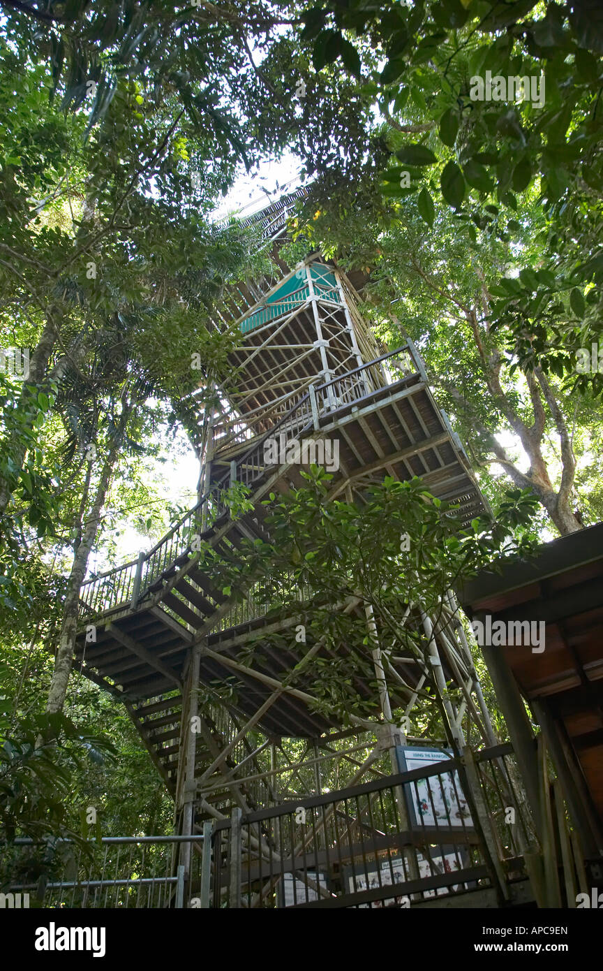 Canopy Tower Daintree Discovery Centre Daintree National Park World ...
