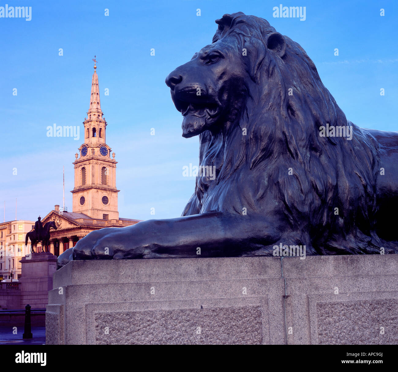 The Lion at Trafalgar Square Stock Photo - Alamy