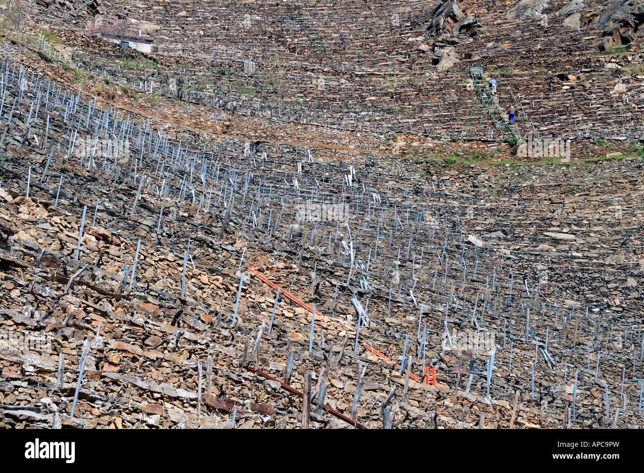 Roman terracing hi-res stock photography and images - Alamy