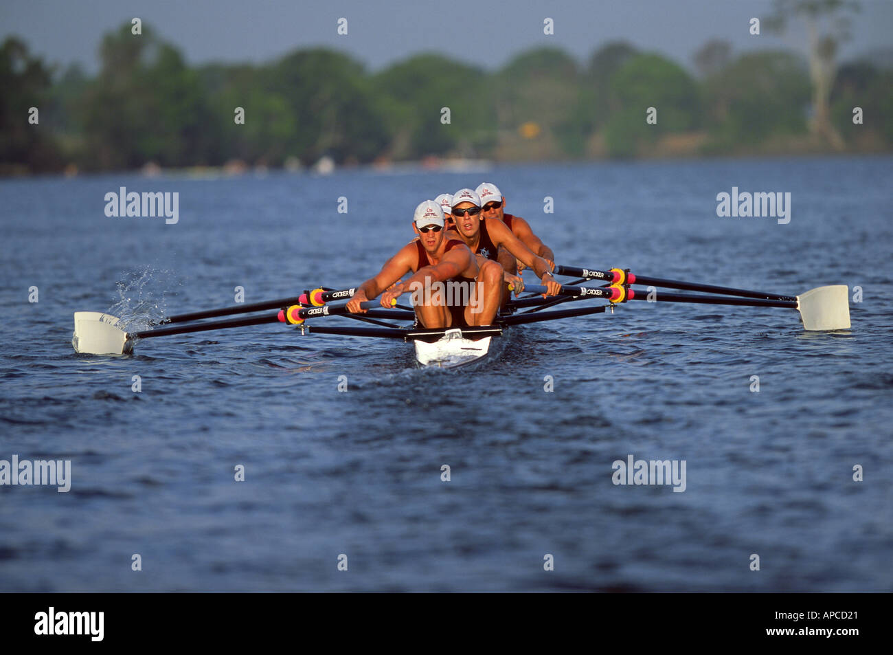 Sculling rowing hi-res stock photography and images - Alamy
