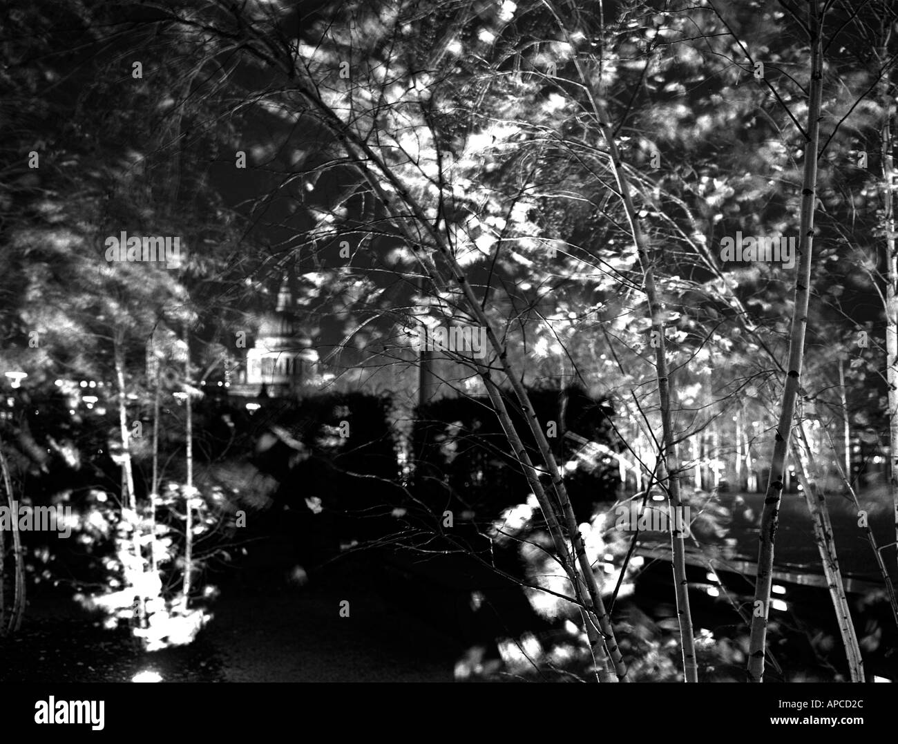 London tate modern birches hi-res stock photography and images - Alamy