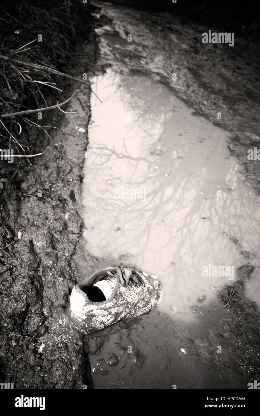 Waterlogged pathway hi-res stock photography and images - Alamy