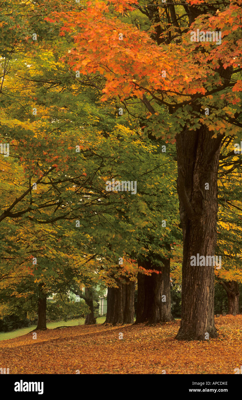 Vermont ecology hi-res stock photography and images - Alamy