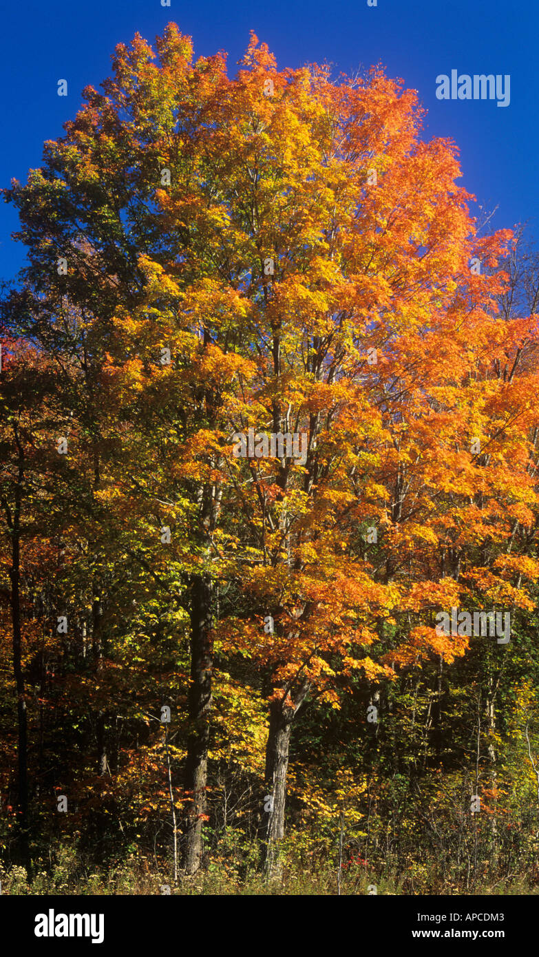 Montpelier Vermont Autumn Stock Photos & Montpelier Vermont Autumn ...