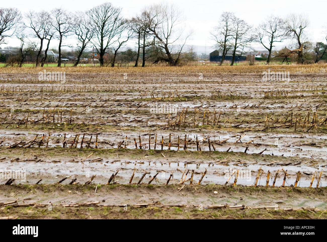 Barren crop field hi-res stock photography and images - Alamy