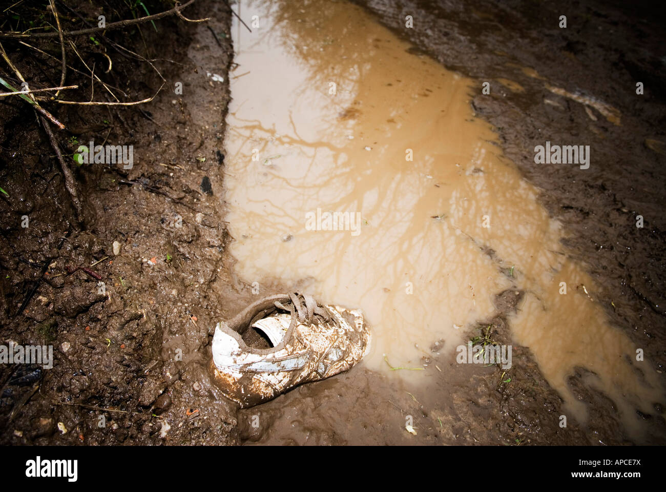 Waterlogged pathway hi-res stock photography and images - Alamy
